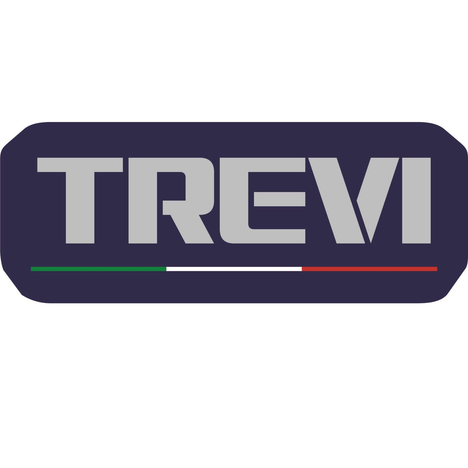 PROFESSIONAL BLENDER. 0.5GL. TREVI - Doral Chef